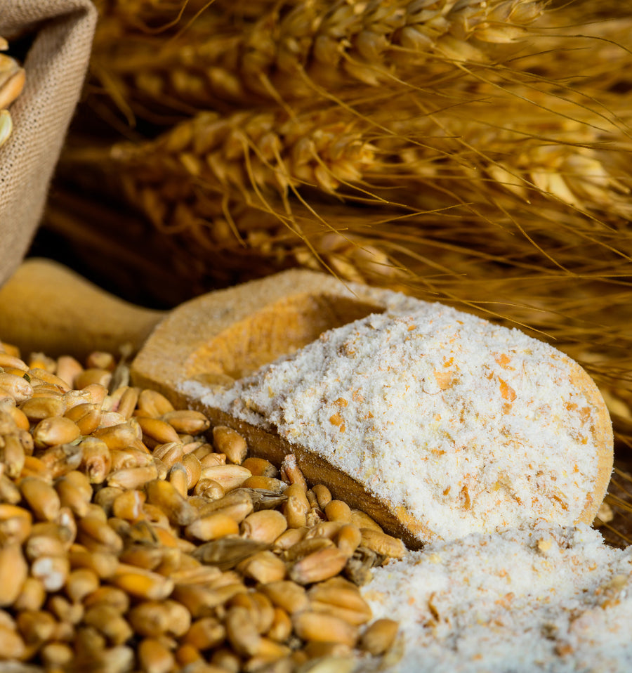 Herman Brot Low Carb High Protein Low GI Plant based (Vegan) Food